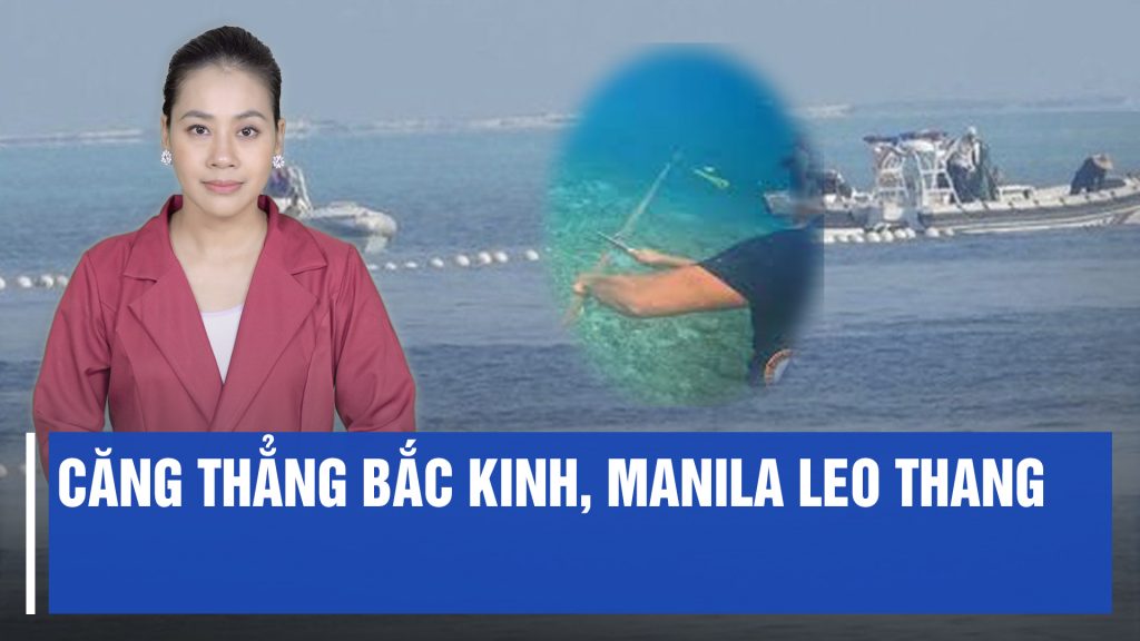 TQ chế tạo loại UAV mới chuẩn bị cho chiến tranh; Đài Loan tăng cường ...